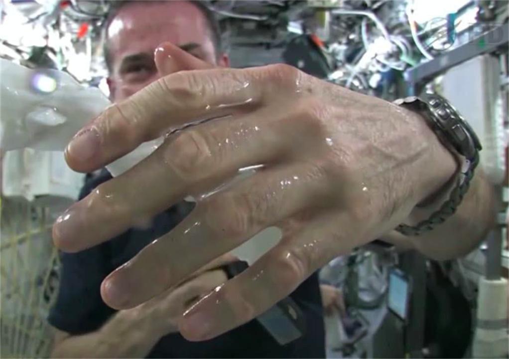 Can you get pregnant in space?Scientists have conducted space pregnancy ...