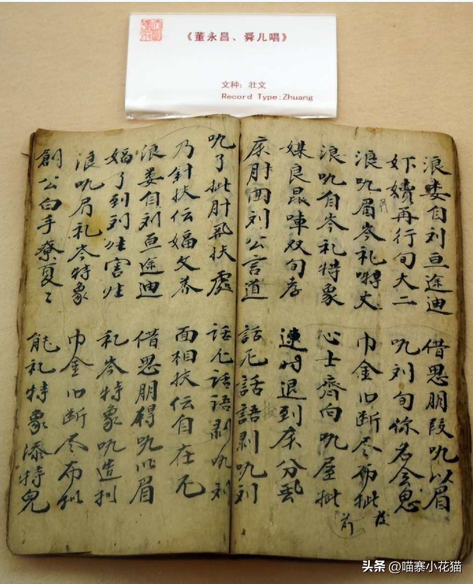 New Zhuang in Latin - iMedia
