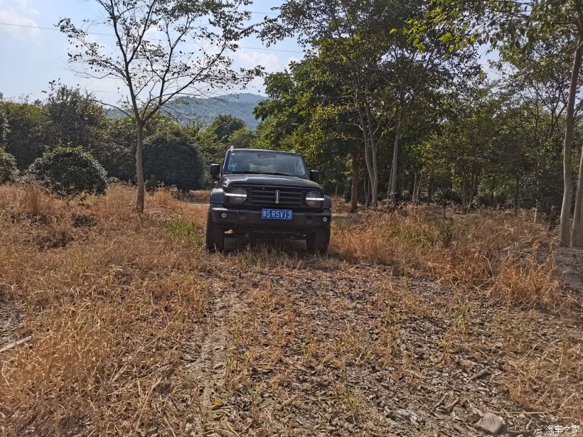 Cross-country in the forest, tank cross-country test - iNEWS