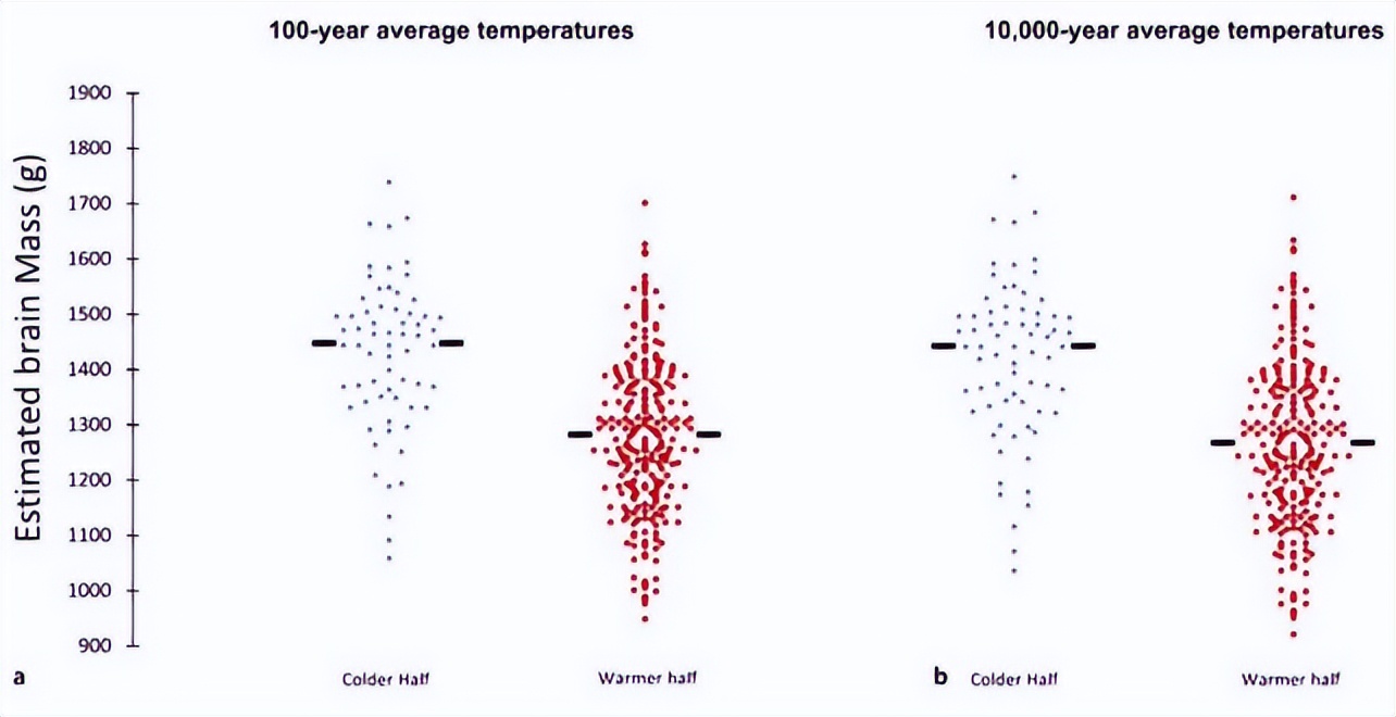 New study: Climate change linked to shrinking human brain size - iNEWS