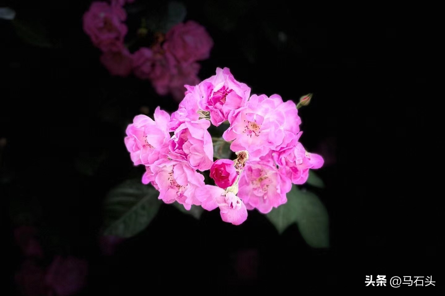 There are two important points in reading - iMedia