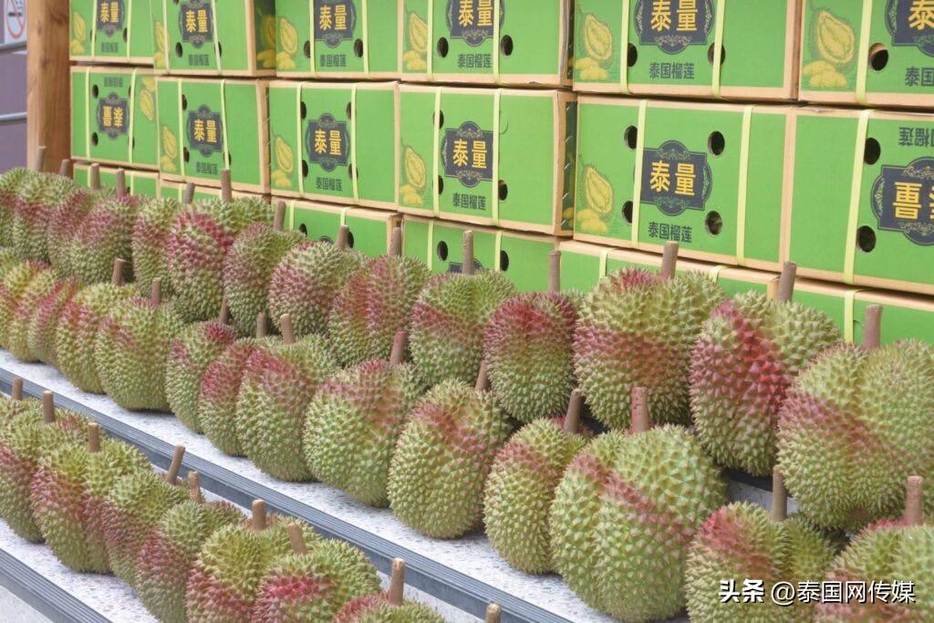 Thailand's durian exports to China may drop by 200 billion in 2025-2030 ...