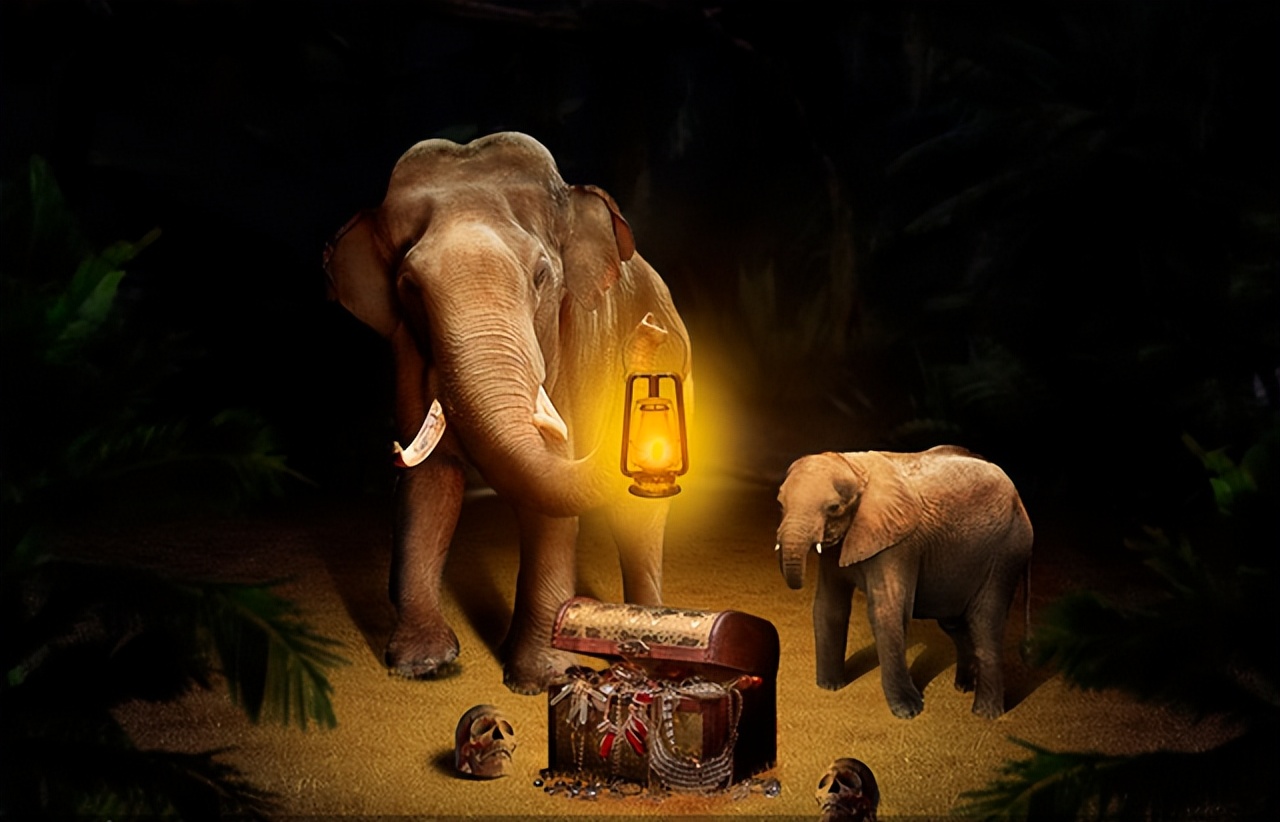 How to get started from scratch and become proficient in PS? How to ...