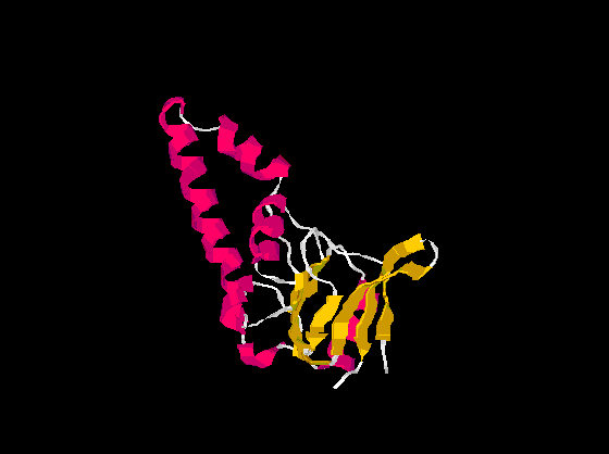 The Wonderful Human Body 02: Why Children Look Like Their Parents - iNEWS