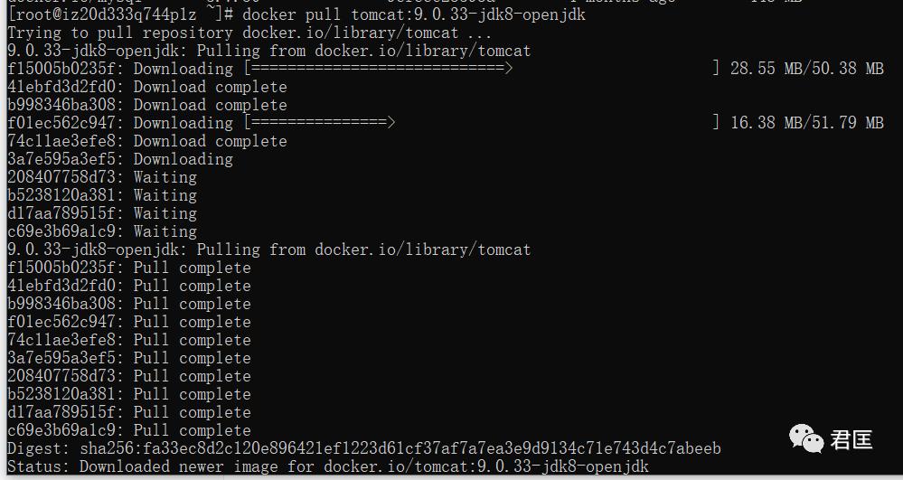 Docker系列三部署Tomcat - 頭條匯