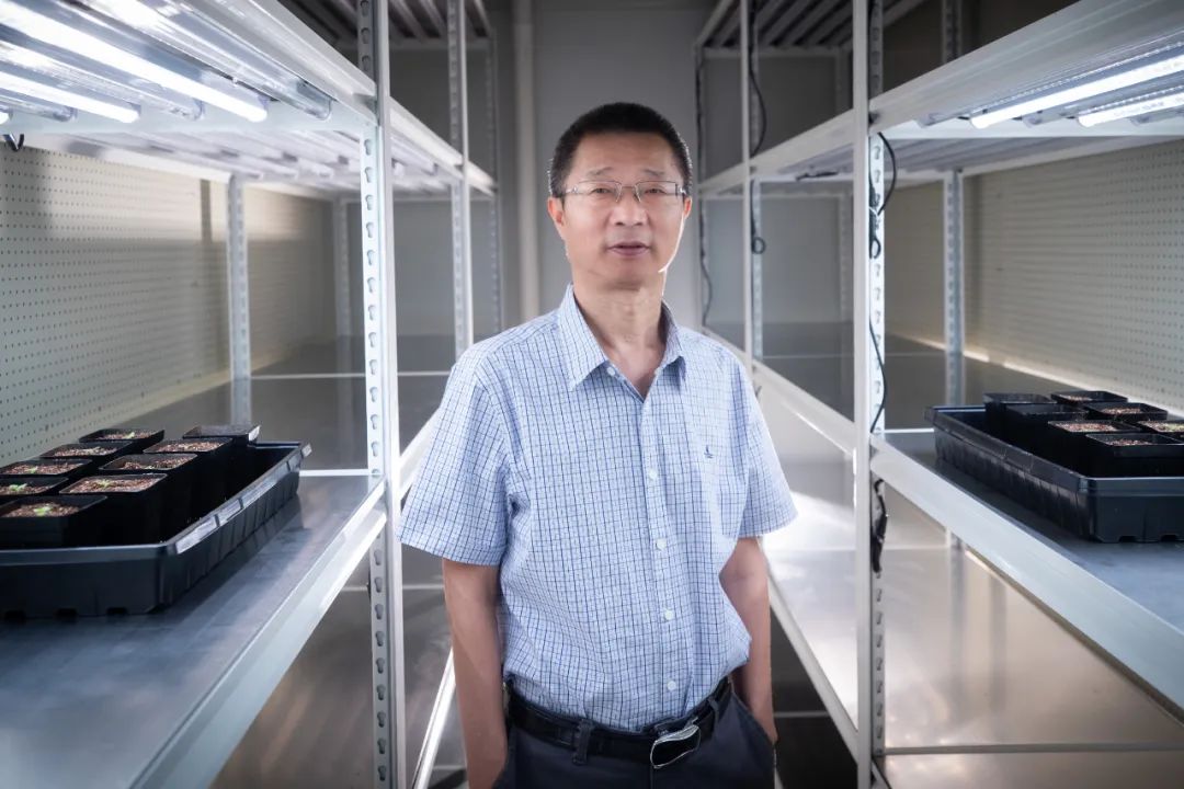 Jijie Chai of West Lake University won the Future Science Award - iMedia