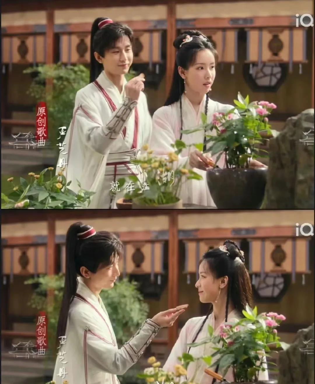 "Lotus House": Compared with Chen Duling's Qiao Wanyu, Su Xiaoyan is ...