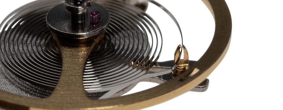 Introduction and story of LJP G100 movement - iNEWS