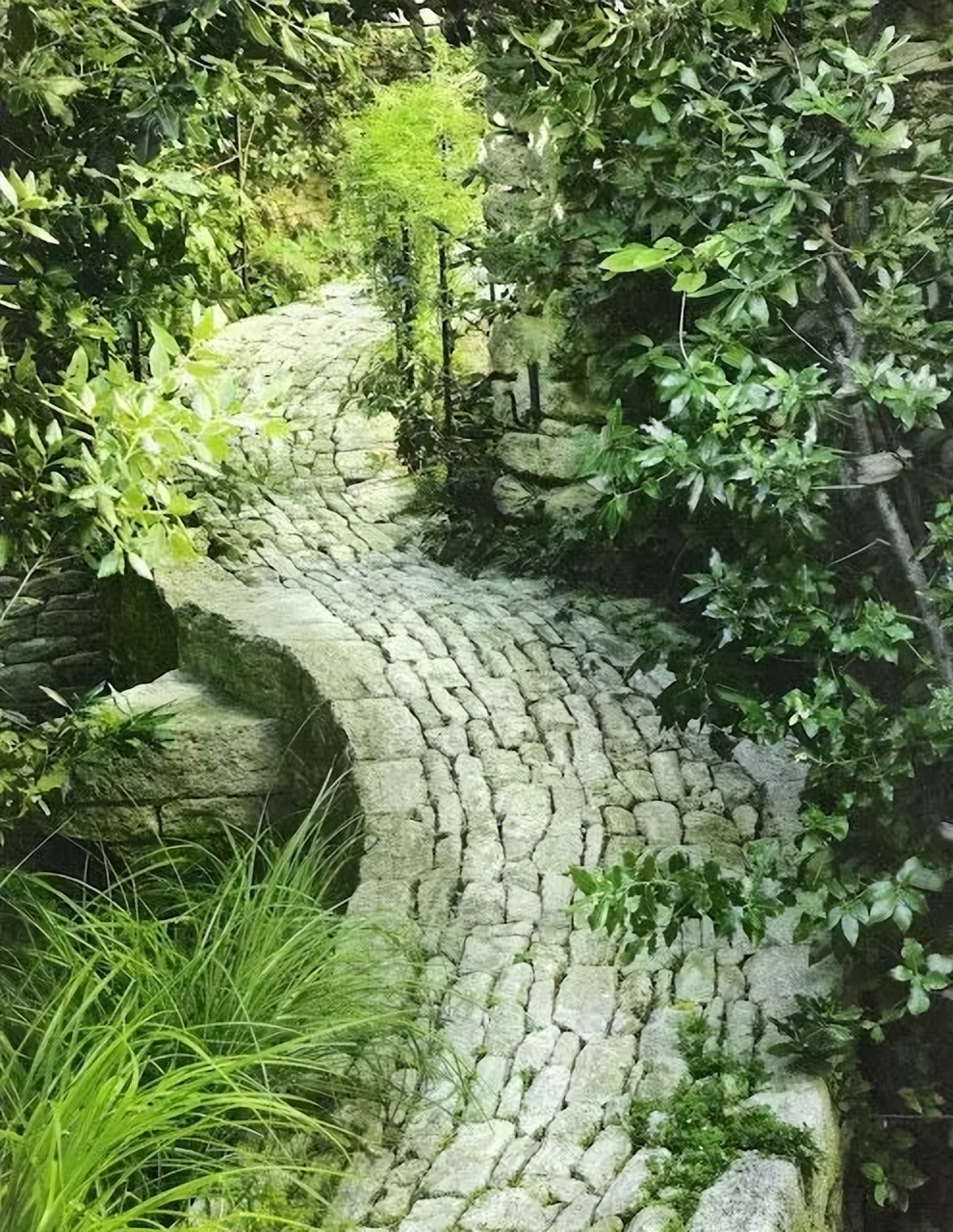 A stone road, a corner of Zen - iNEWS