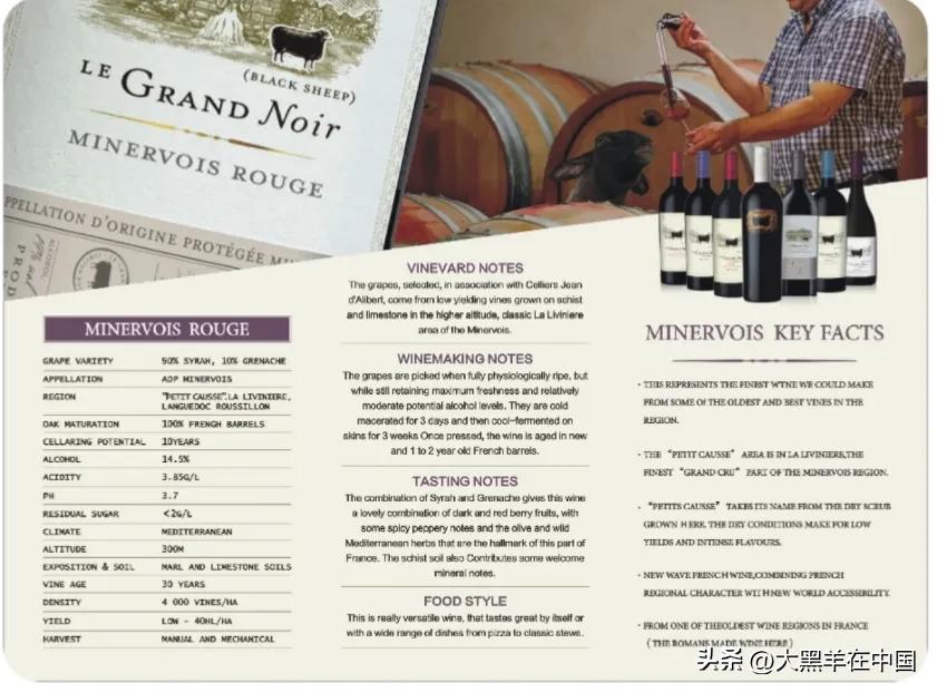 Wine Tasting Terminology, Entering the World of Wine - iMedia