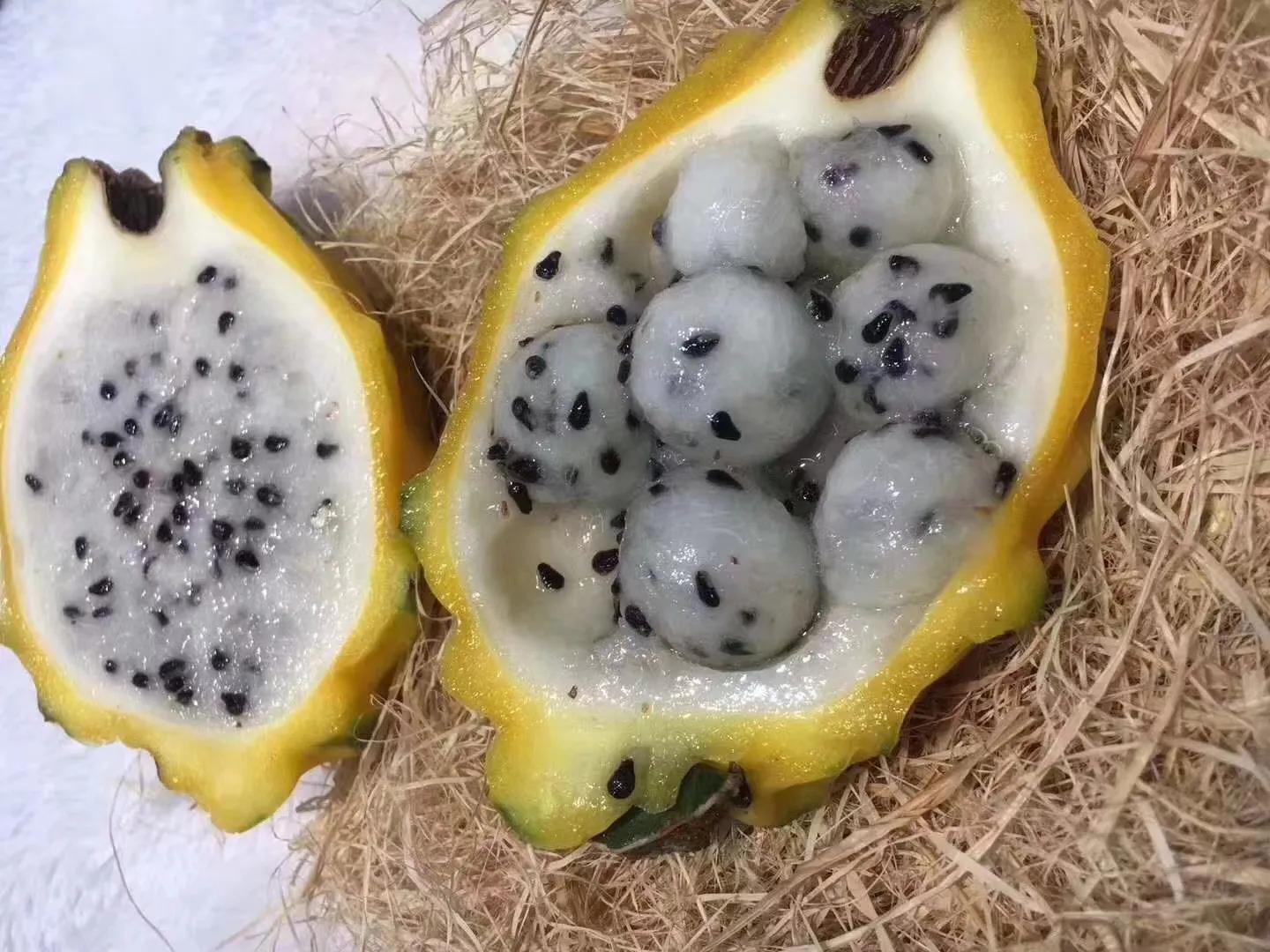 Have you ever eaten a Rolls Royce among fruits? - iNEWS