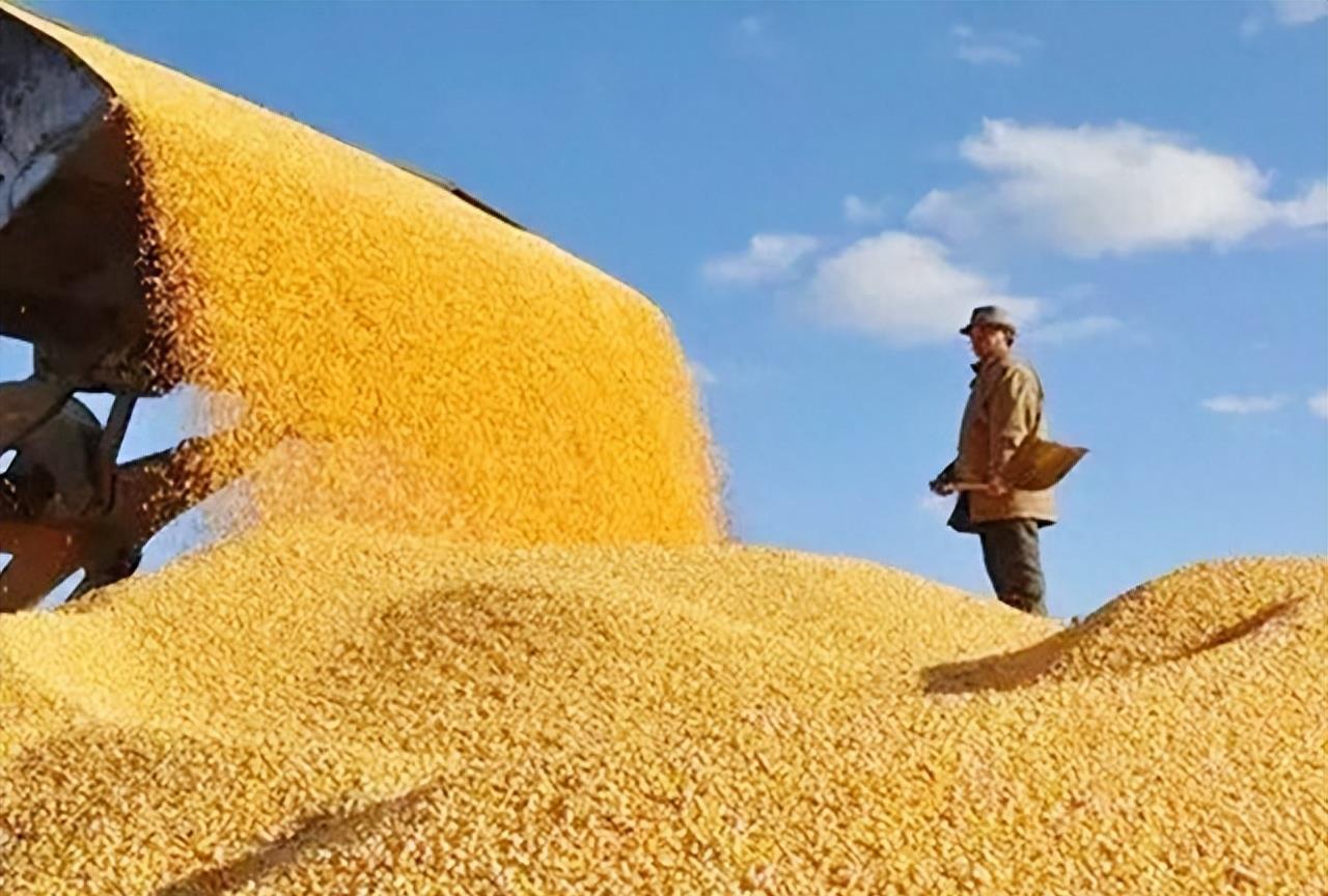 Food War 1980: Taking the lead in cutting off food from the Soviet ...