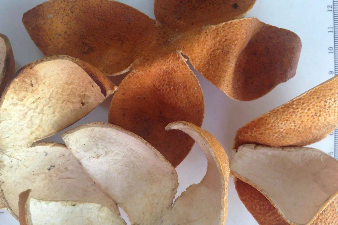 How to choose Xinhui tangerine peel with great collection value! - iMedia