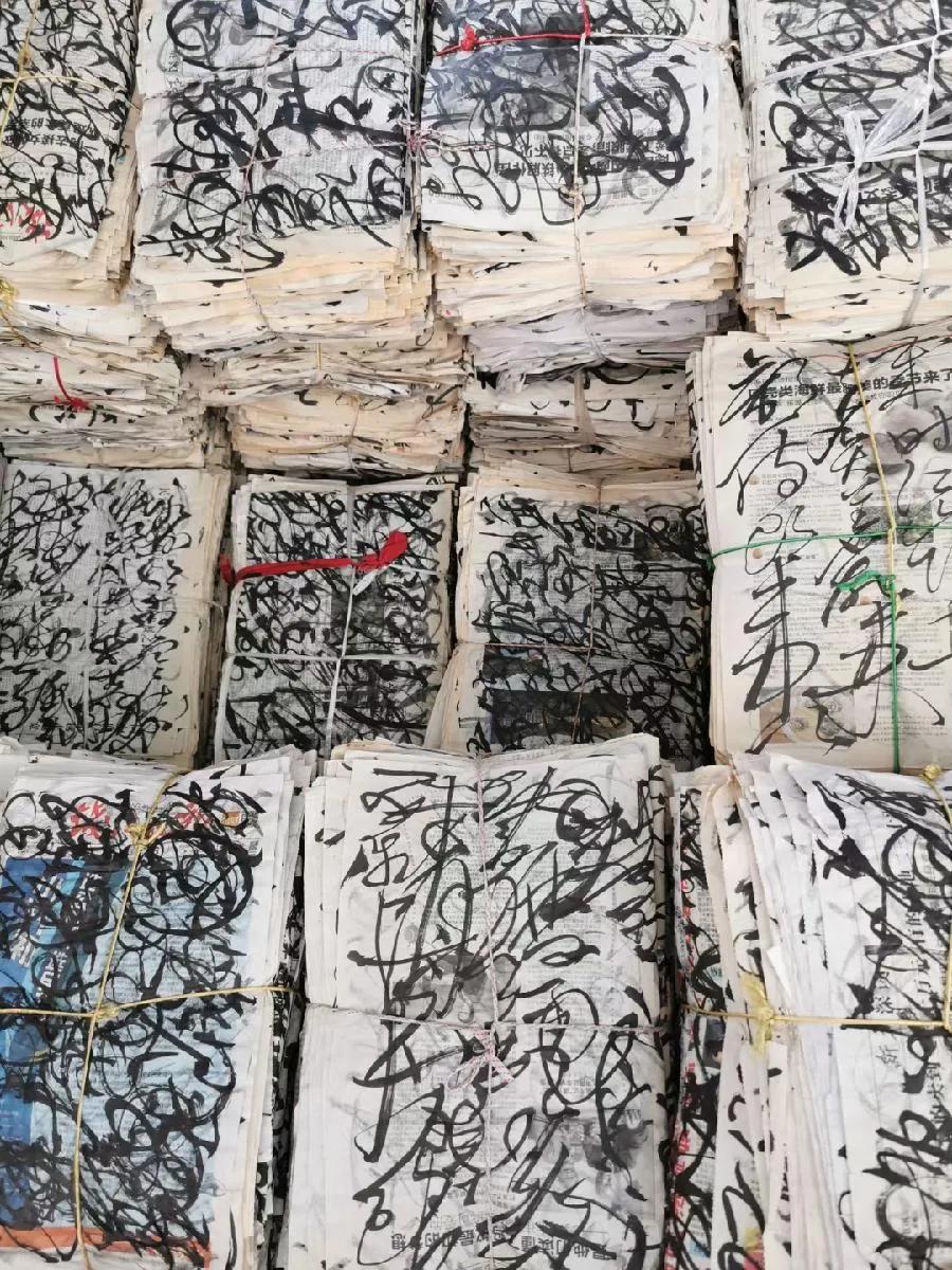 Li Jinmin Lin Huai Su's "Self-narrative Post" - iNEWS