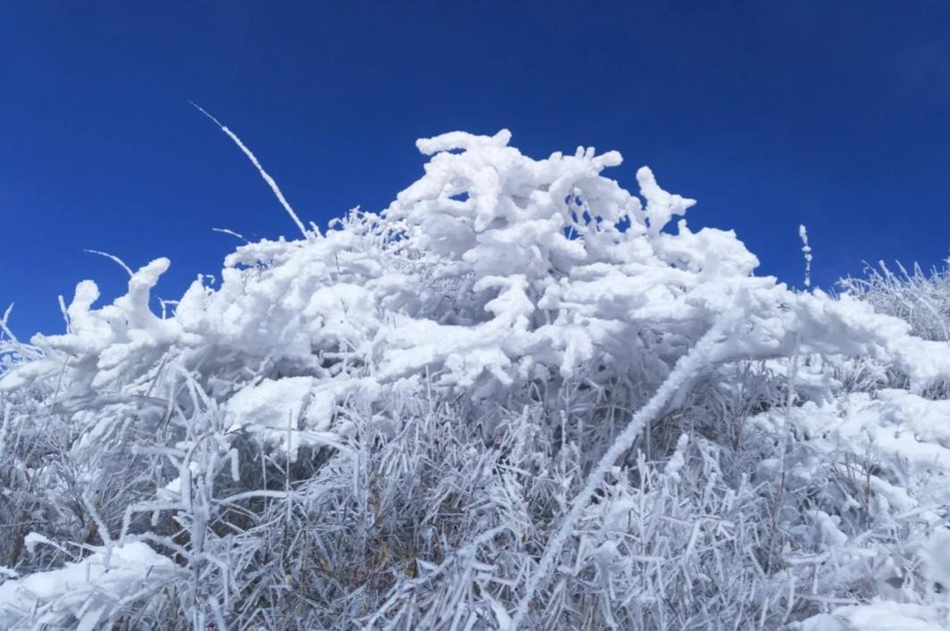 Let's enjoy the snow in Qinling in December - iNEWS