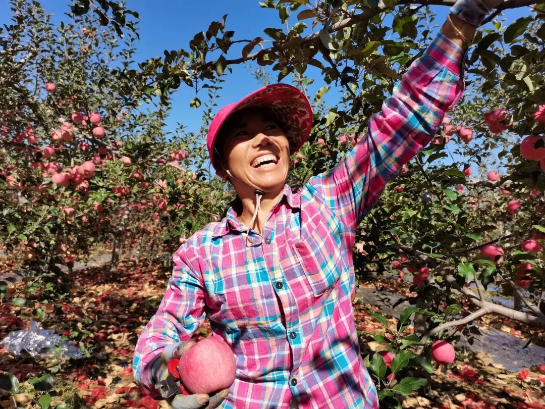For the 6th time, Yan'an Apple went into space again - iNEWS