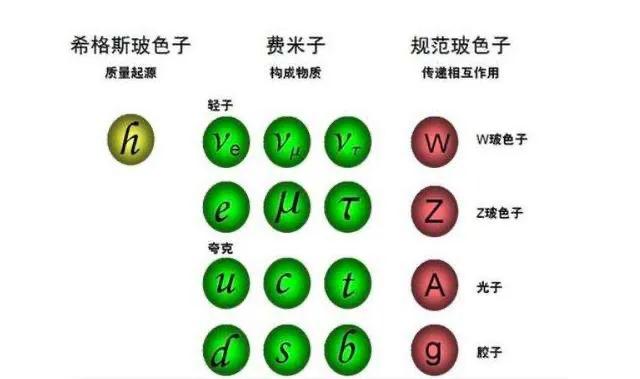 The fundamental particles that make up the world: "fermions" and ...