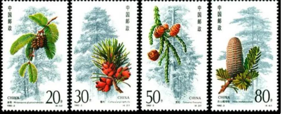 The South of the Clouds on Stamps (7) "The Cedar Tree" - iNEWS