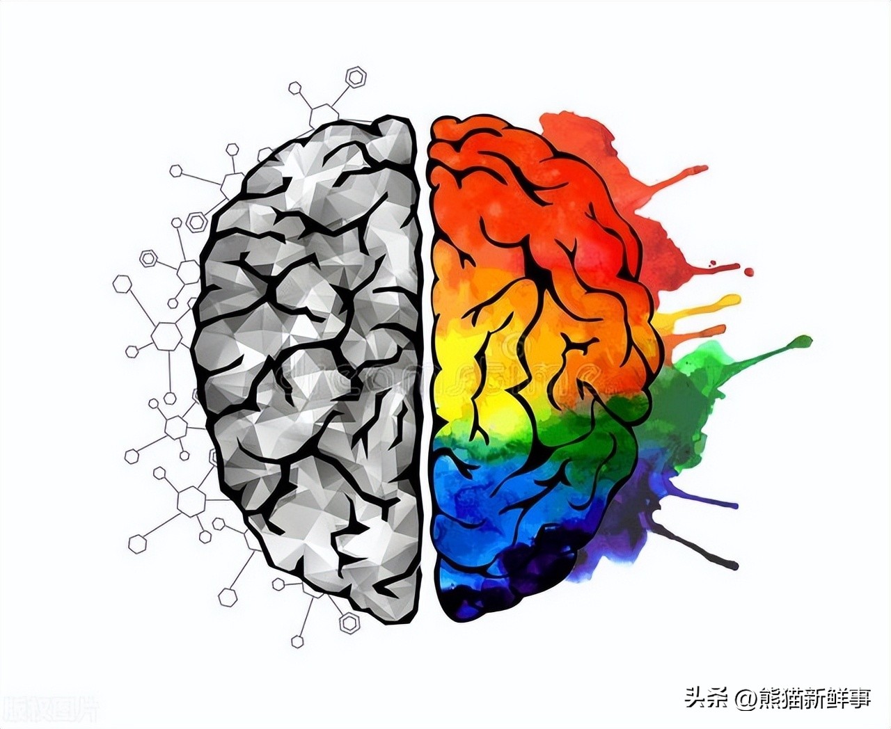 Brain Secrets: How Neurons Help Us Stay Focused - iMedia