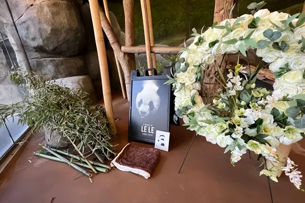 The cause of death of a giant panda in the United States has been ...