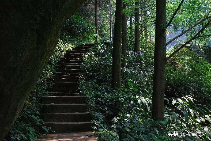 "Huangshuidang"——The secret place of fireflies hidden deep in the ...