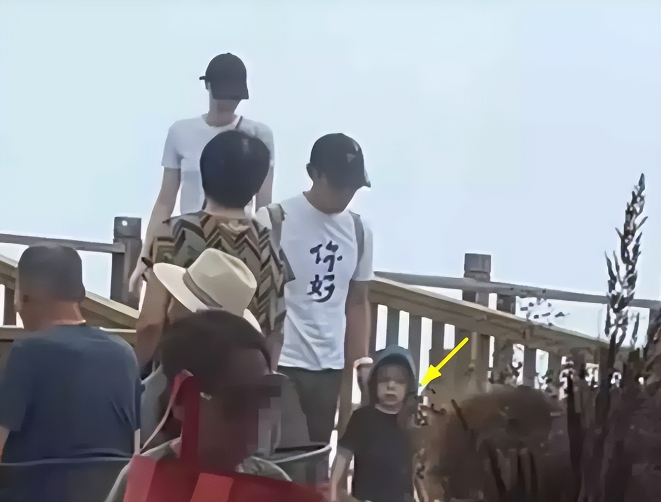 Sa Beining's family of 4 climbed mountains, and the frontal photos of ...