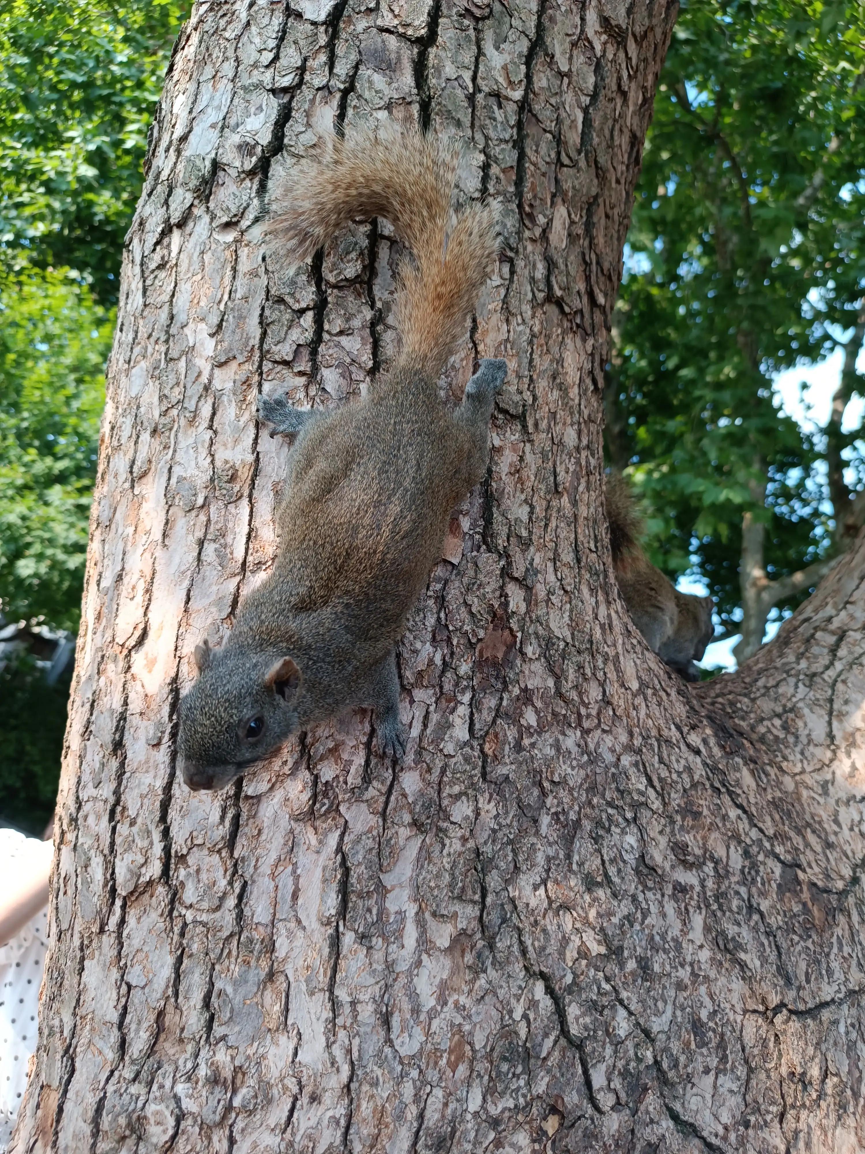 Visit Hangzhou with me - Meixi Lake in the sunset - iNEWS