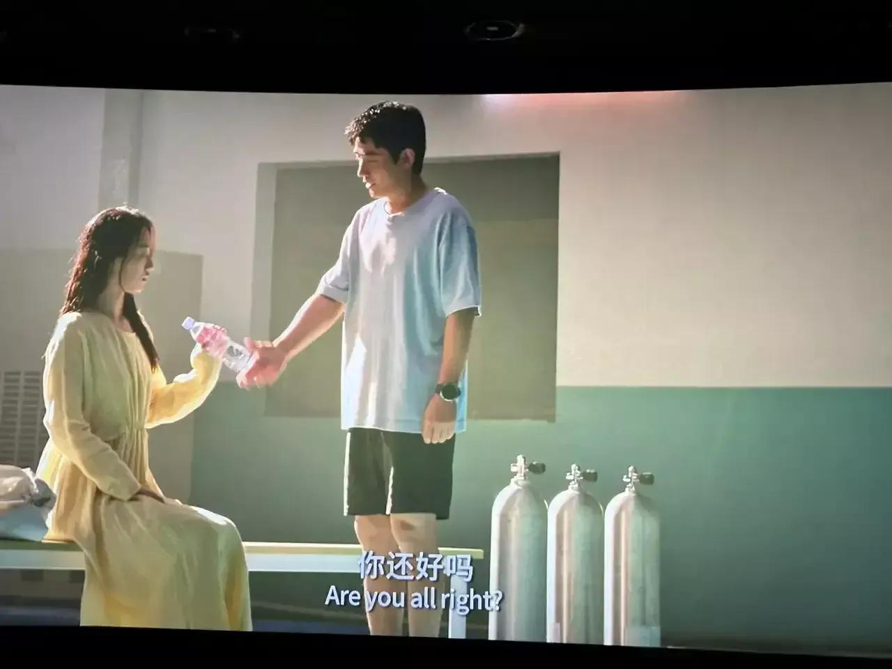 The movie "She Who Disappeared" has a strong sense of substitution ...