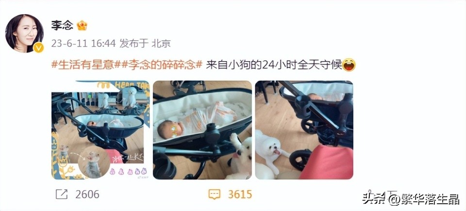 Li Nian posted cute photos of the three treasures, the baby looks cute ...