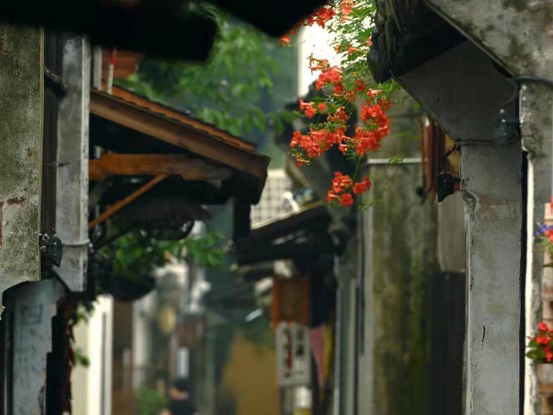 Customize a Jiangnan dream that you don't want to wake up - iNEWS