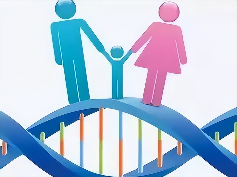 Among couples, whose genes determine the IQ and appearance of the child ...