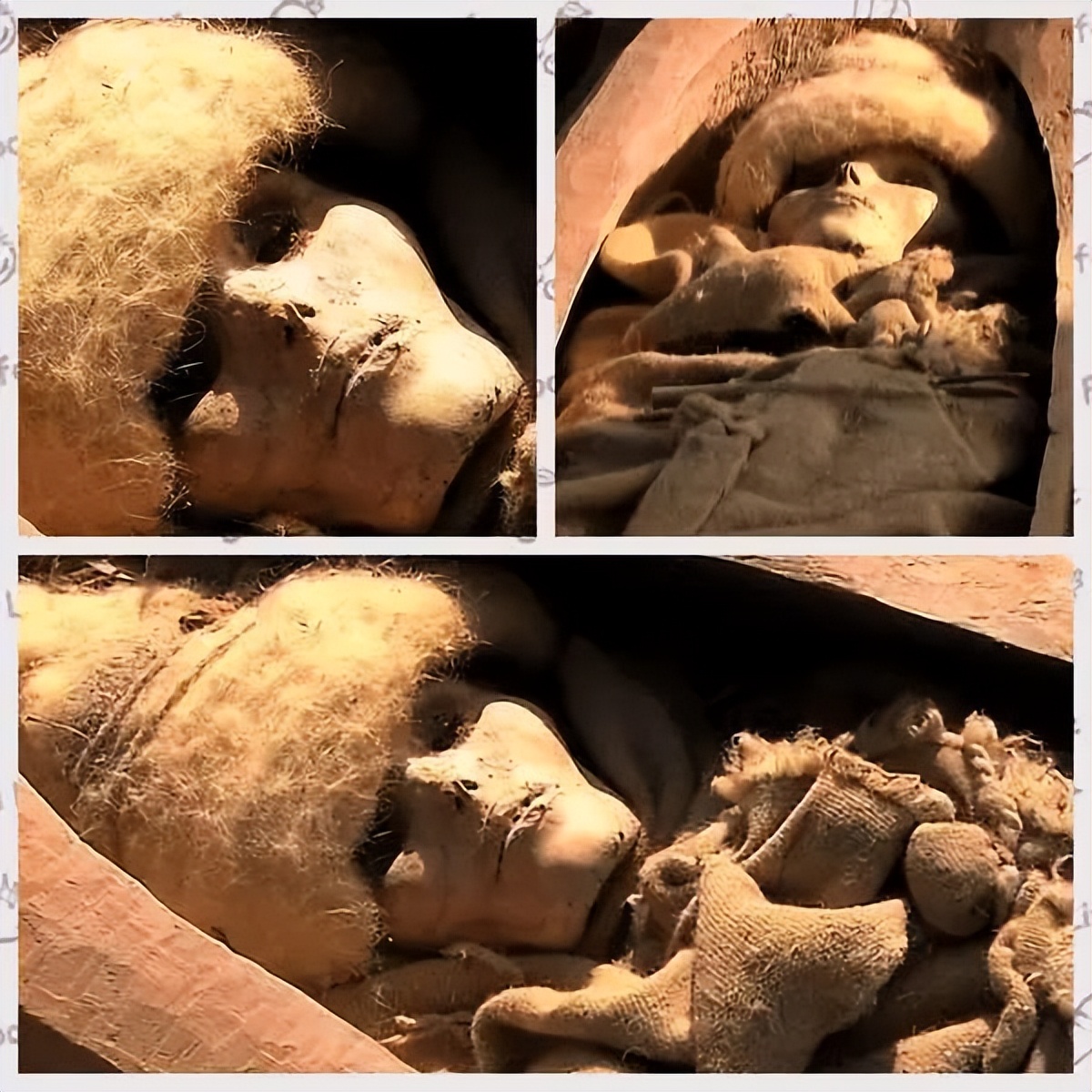 The "female corpse" unearthed in the desert 4,000 years ago is still ...