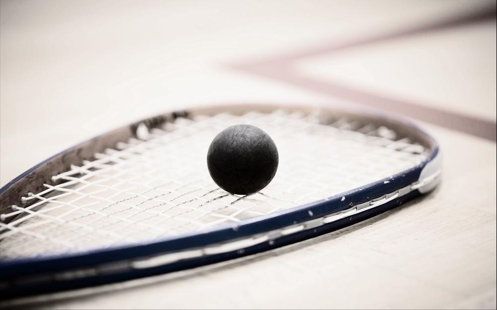 Approaching the sport of squash · sports similar to baseball · first ...