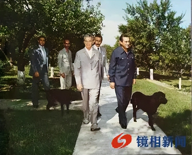 Joe Secu's dog: Colonel rank, lives in a villa, has a special car, only ...