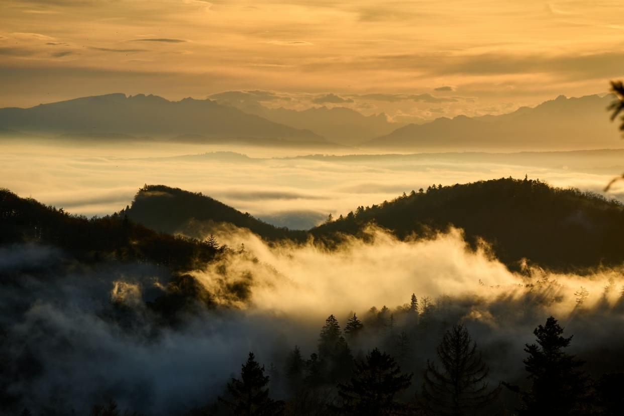 The 46-year-old Meng Jiao finally realized his dream and wrote a poem with excitement. The short ...