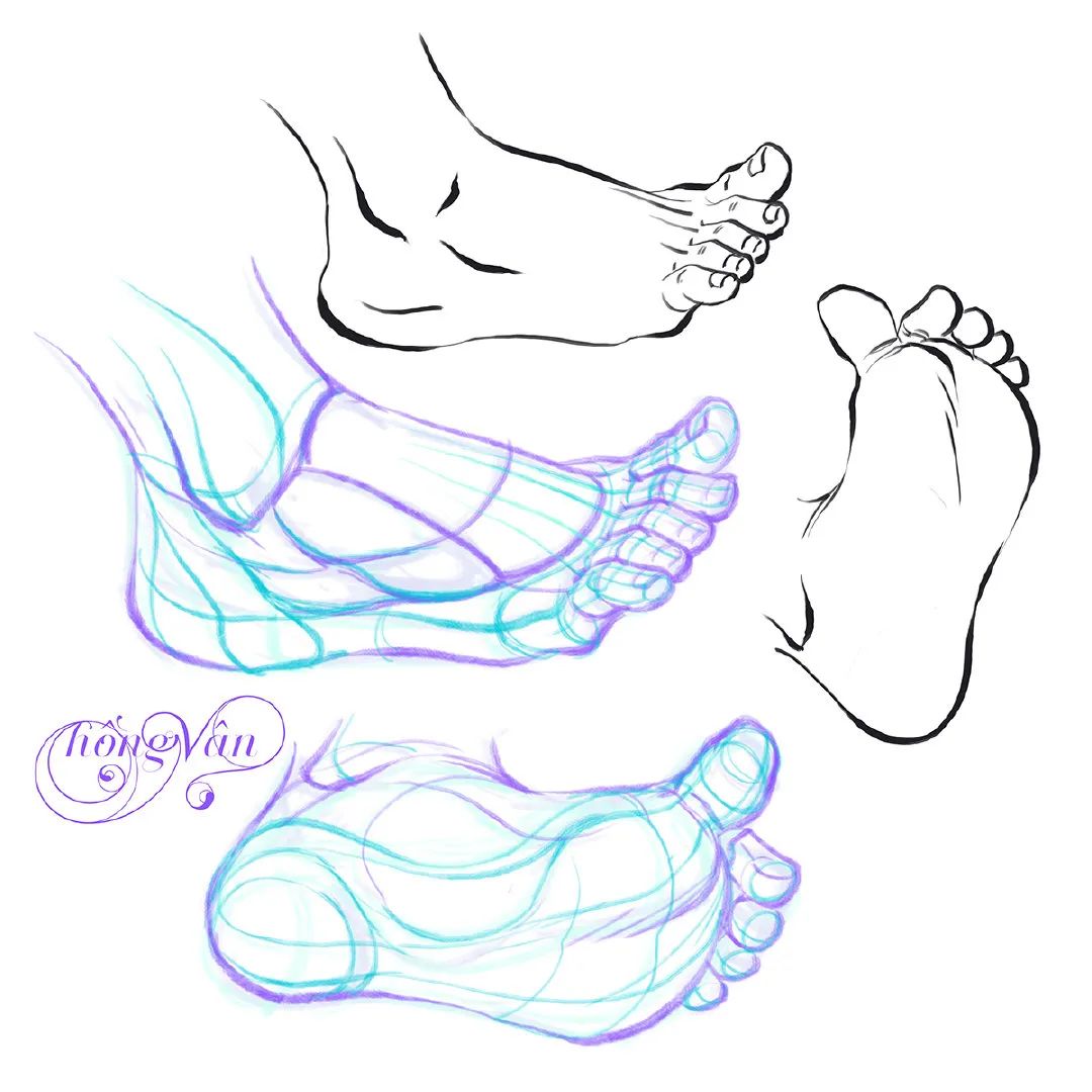 "Painting Reference" Human foot drawing reference shared by painter ...
