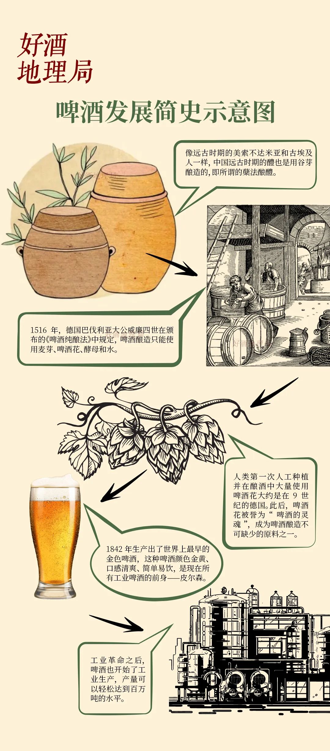 Discovering hops, a journey of asking for "bitterness" - iMedia