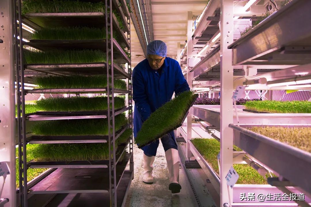 Underground farms, museums, laboratories... Is this still the air-raid ...