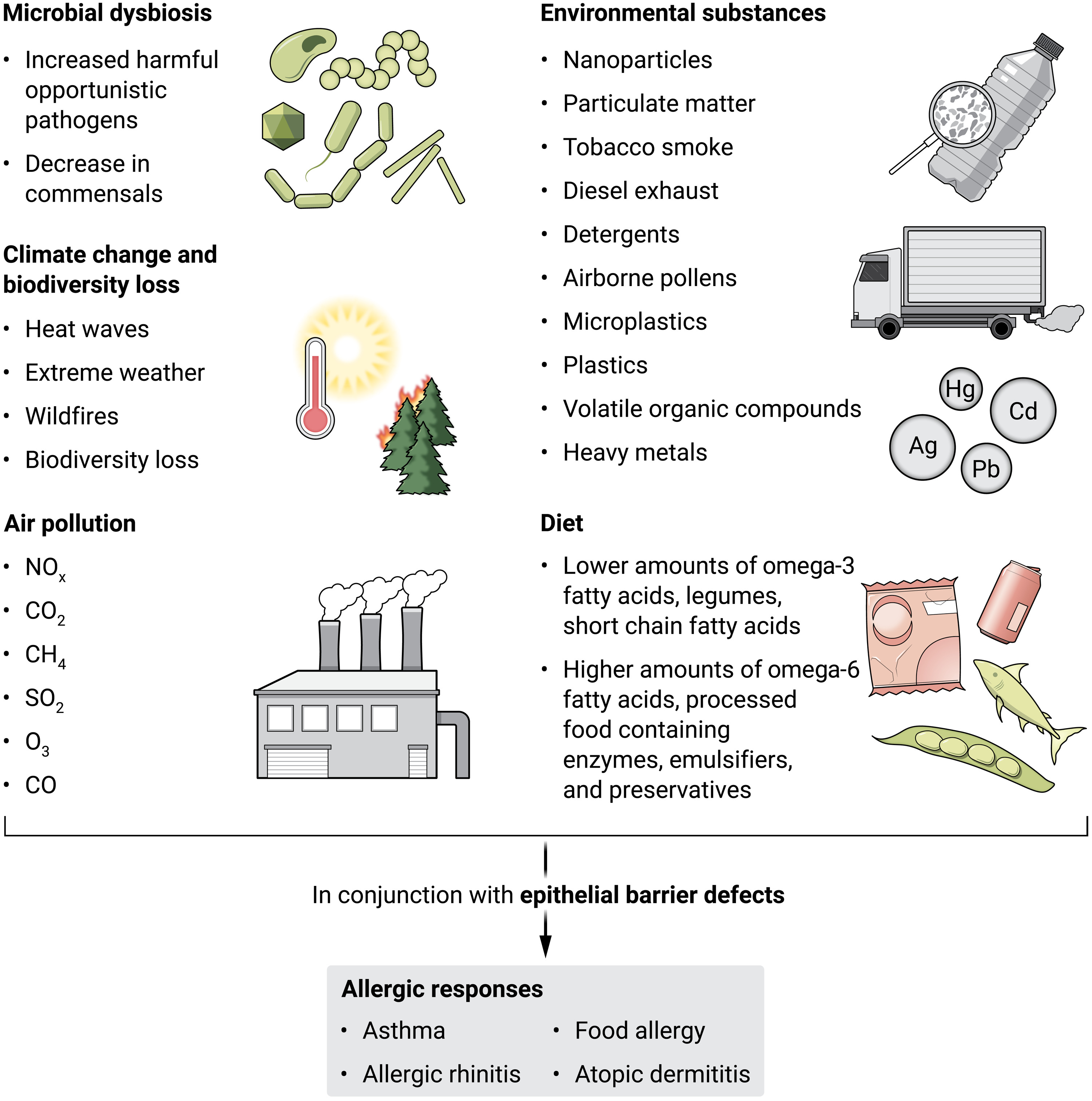 Study reviews mechanistic data for new approach to allergy prevention ...