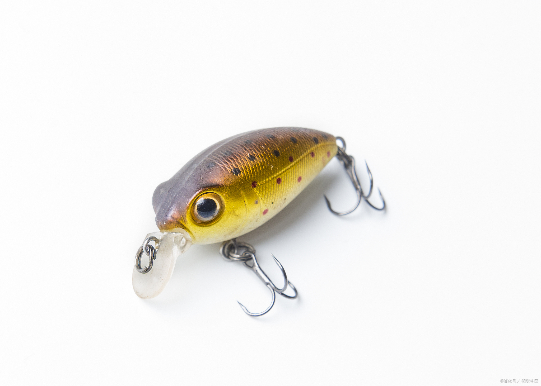 "Weimet Fishing Tackle" Weihai Fishing Rod Luya Fake Lure Sharing - iMedia