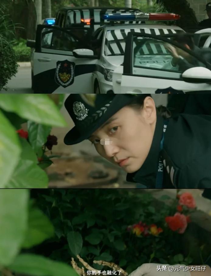 Fairy lineup! Director Feng Xiaogang! Wang Zha's suspenseful new drama is coming - iMedia