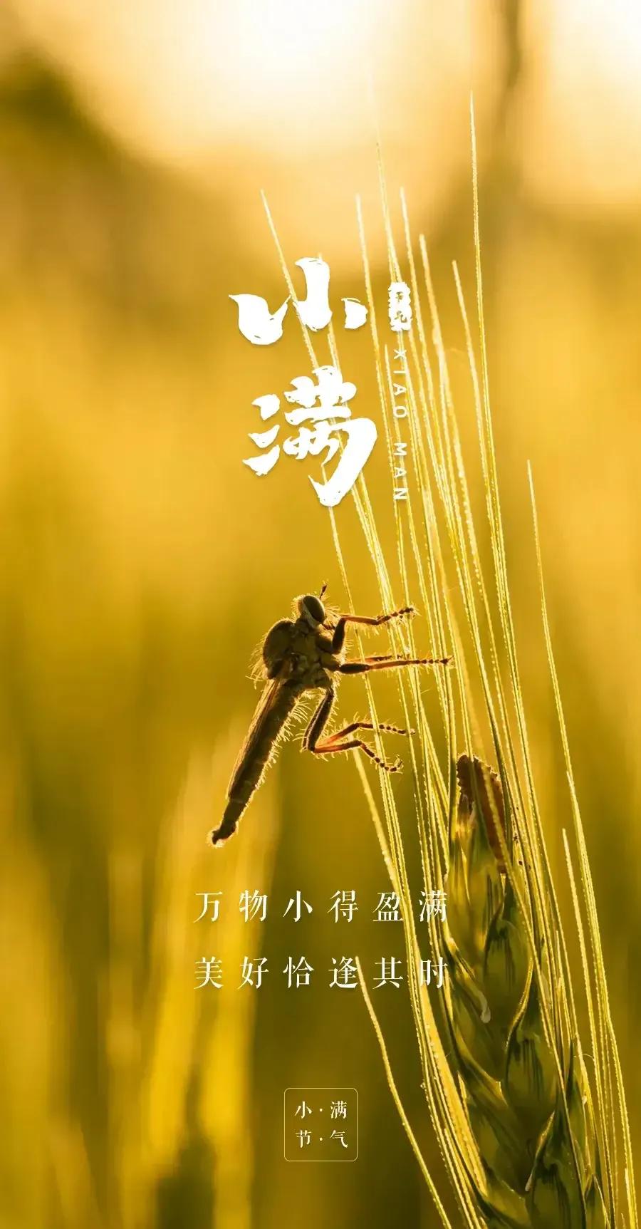 Less than full is full - iNEWS