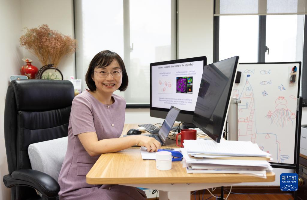 Chen Lingling: Interpretation of "The Book of Life" - iNEWS