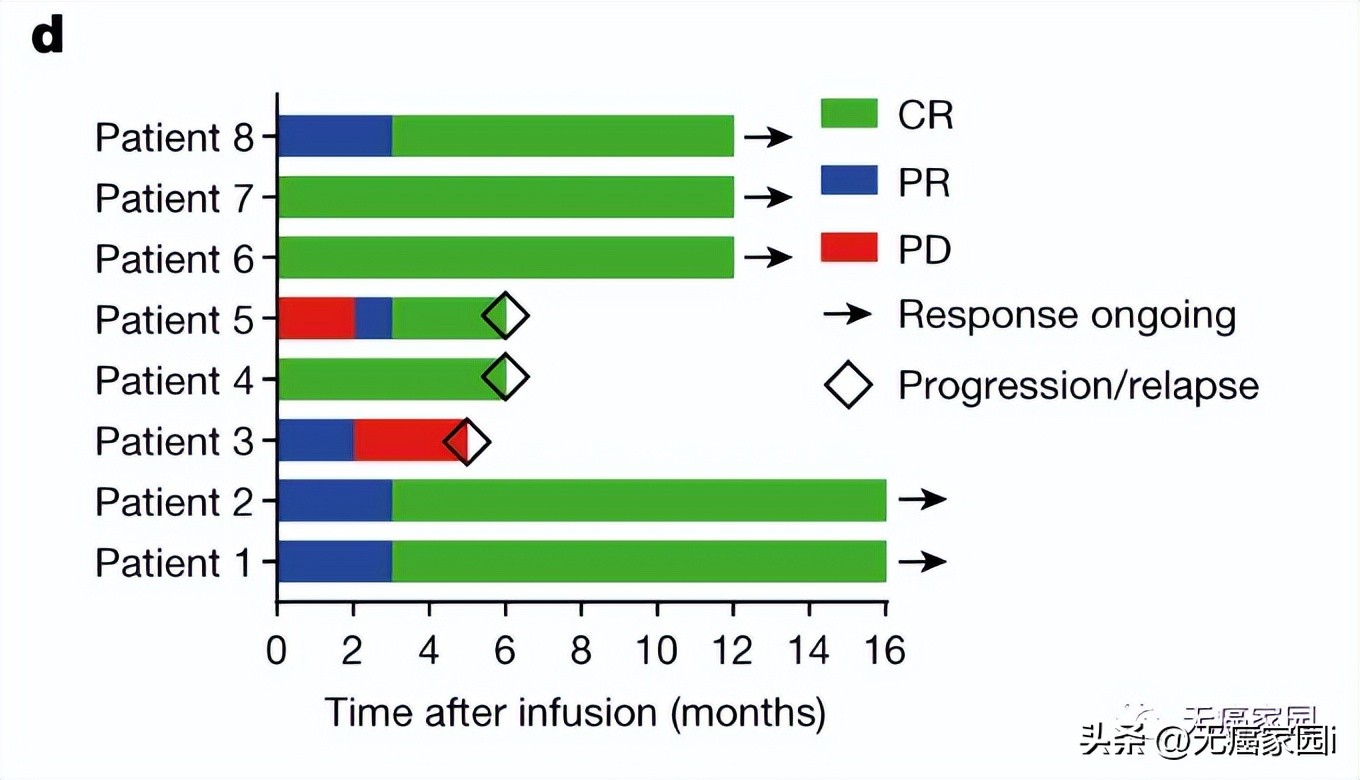The complete response rate is as high as 87.5%, and domestic CAR-T ...