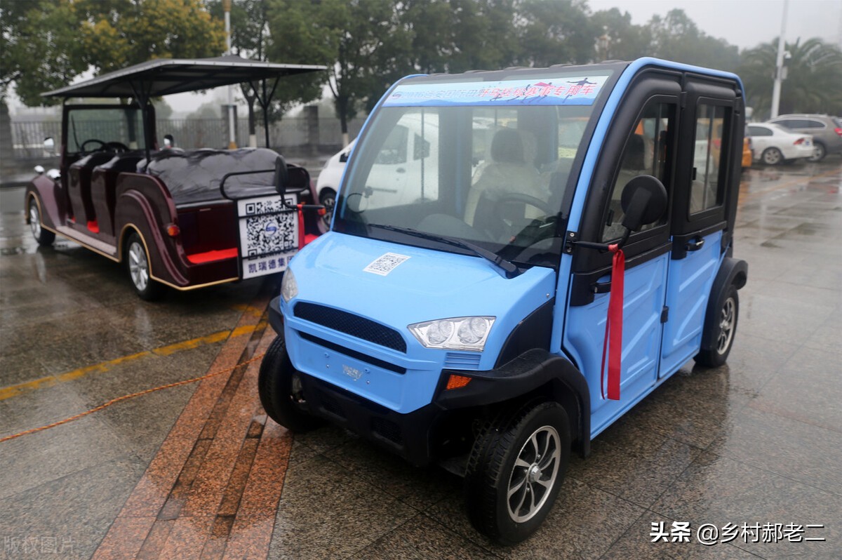 The car broke down in the wild and encountered wolves. Is it safe to ...