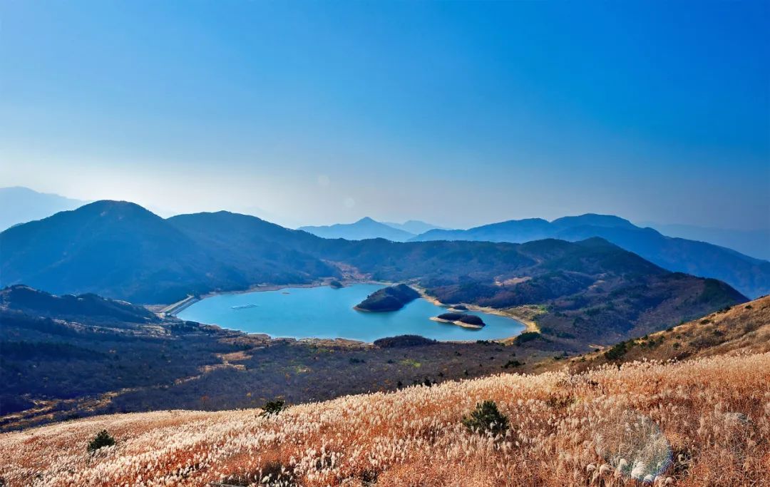 Unveiling the secret, the treasures here in Lin'an are not limited to ...