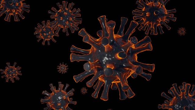 Deadly viruses: Do you know what are the deadly viruses that have swept ...