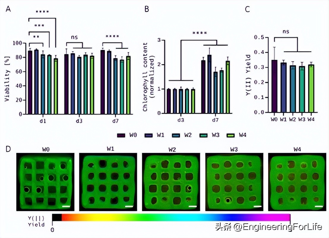 "AHM": Amazing! Bioink could be used in space - iNEWS
