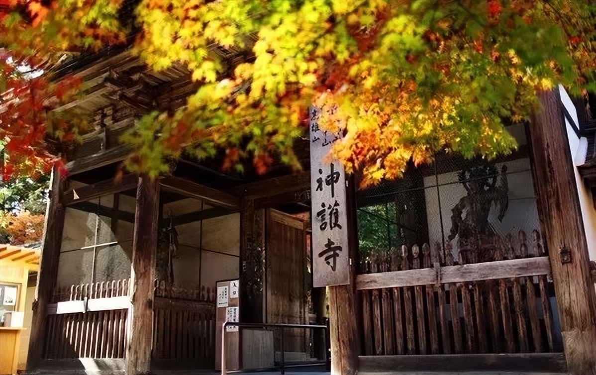 After returning to Japan in the legend of the demon cat, what did ...