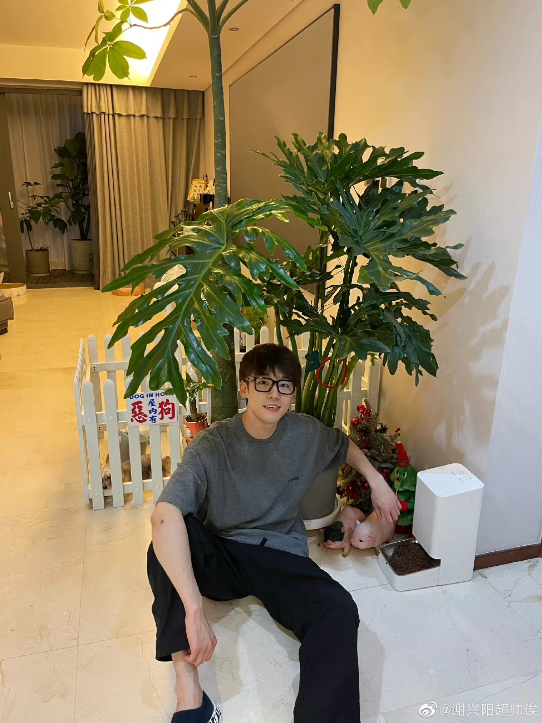 Xie Xingyang shares daily life photos to capture a touch of green in summer - iNEWS